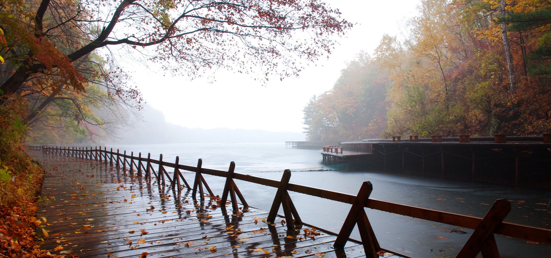 Contact Us 2 - Brown Financial